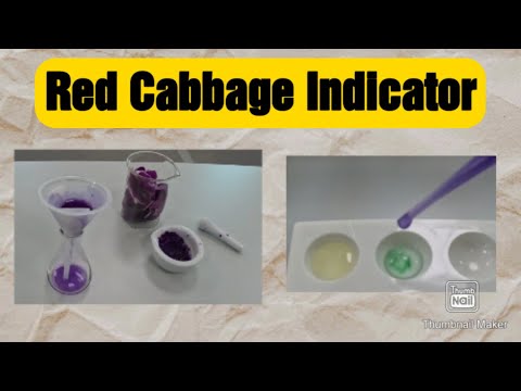 Making and Using Red Cabbage Indicator 4K - YouTube