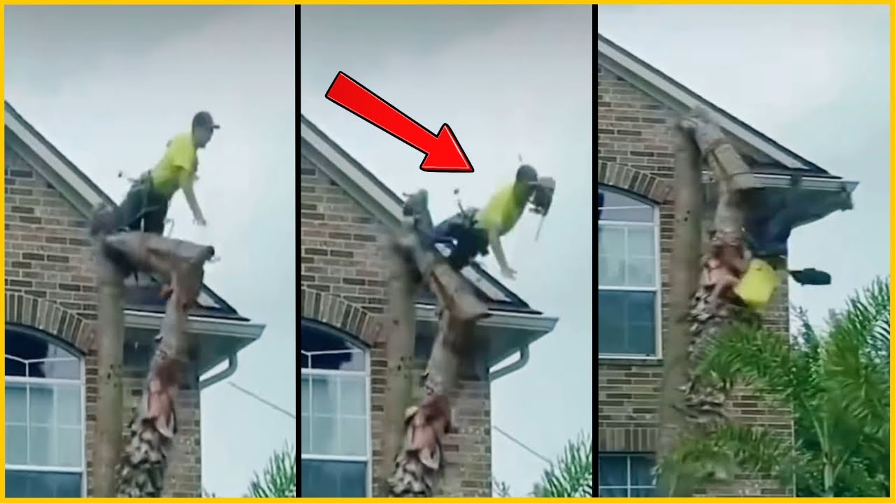 Man FELL While Cutting A Tree || 45 Terrifying Tree Accidents - YouTube
