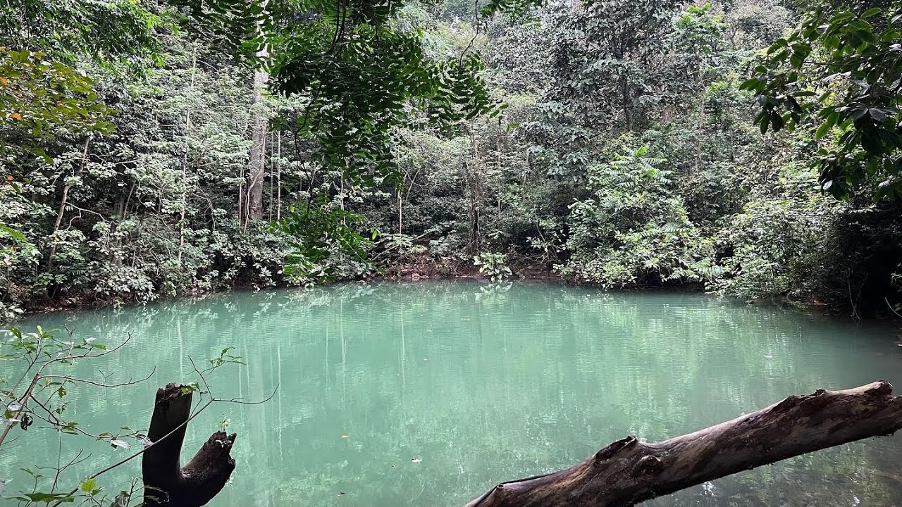 Observasi Flora Fauna di Telaga Buret Tulungagung - YouTube