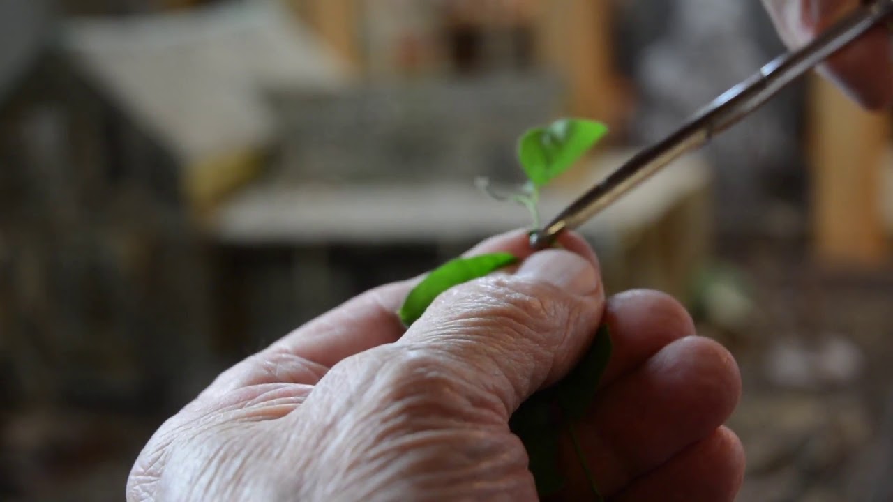 How to Make Mini Vines - YouTube