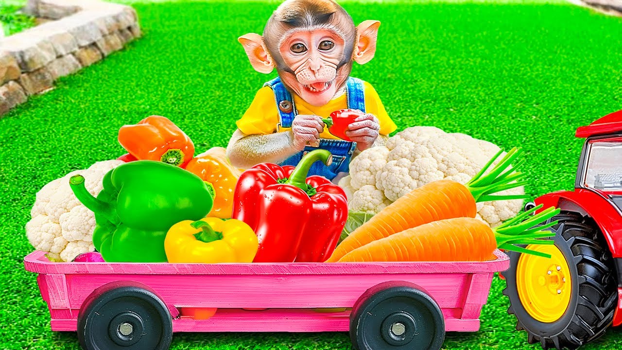 Monkey Harvests Fresh Veggies and Eat Meal with Puppy in the Garden ...