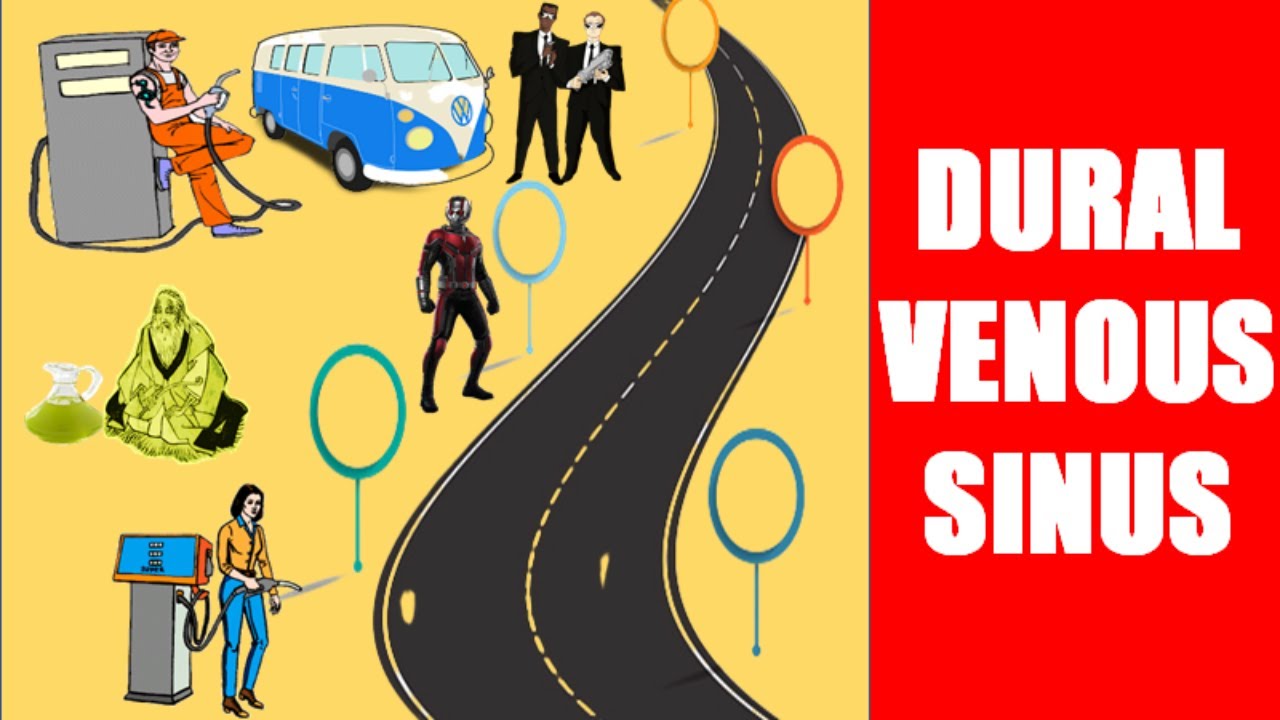 Easy Trick for Dural Venous Sinuses Classification | MedThruStory ...