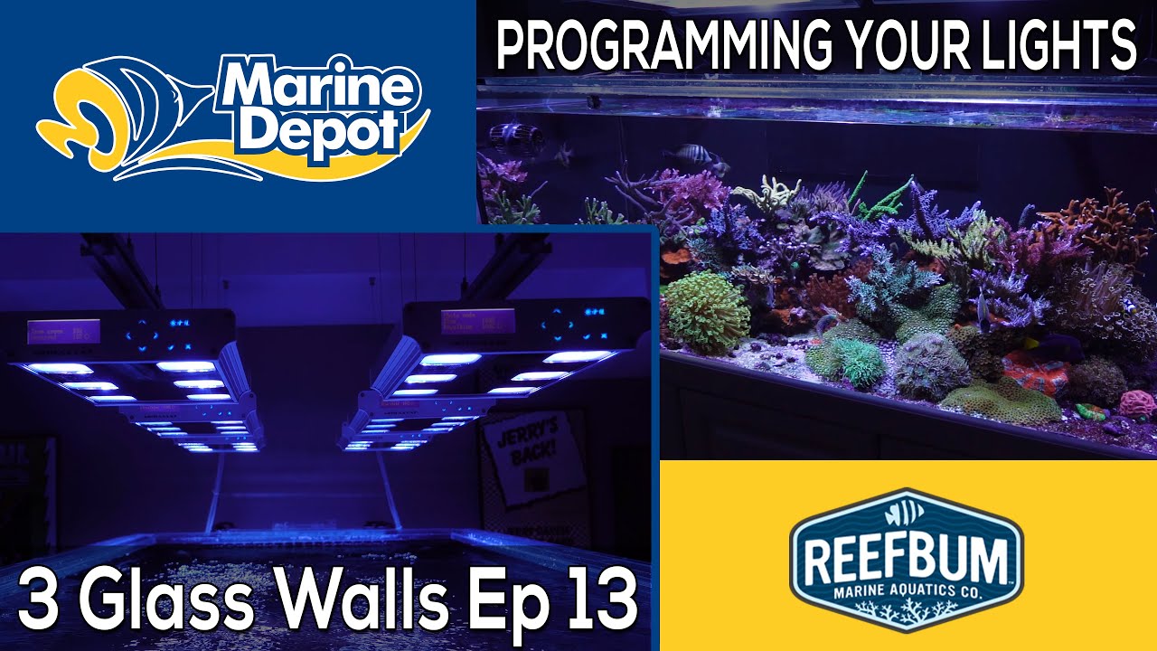 How to Setup Your Reef Lighting: 3 Glass Walls with Reefbum Part 13 ...