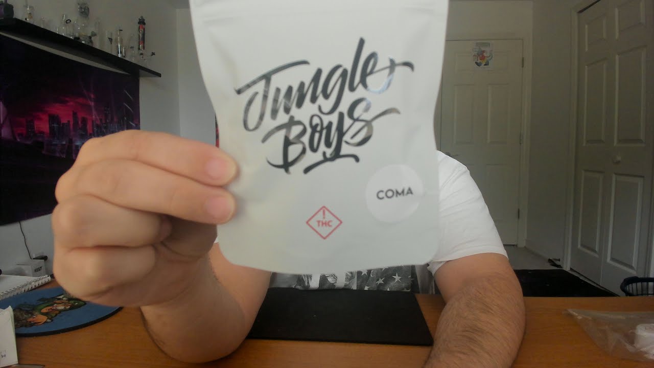 Is Jungle Boys Flower worth it? COMA Review - YouTube