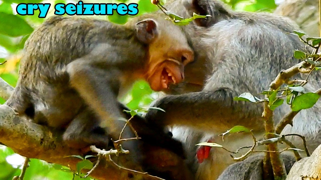 Very Spoiled Girl ! Crying seizures, demanding Milk from Jane, Mom ...