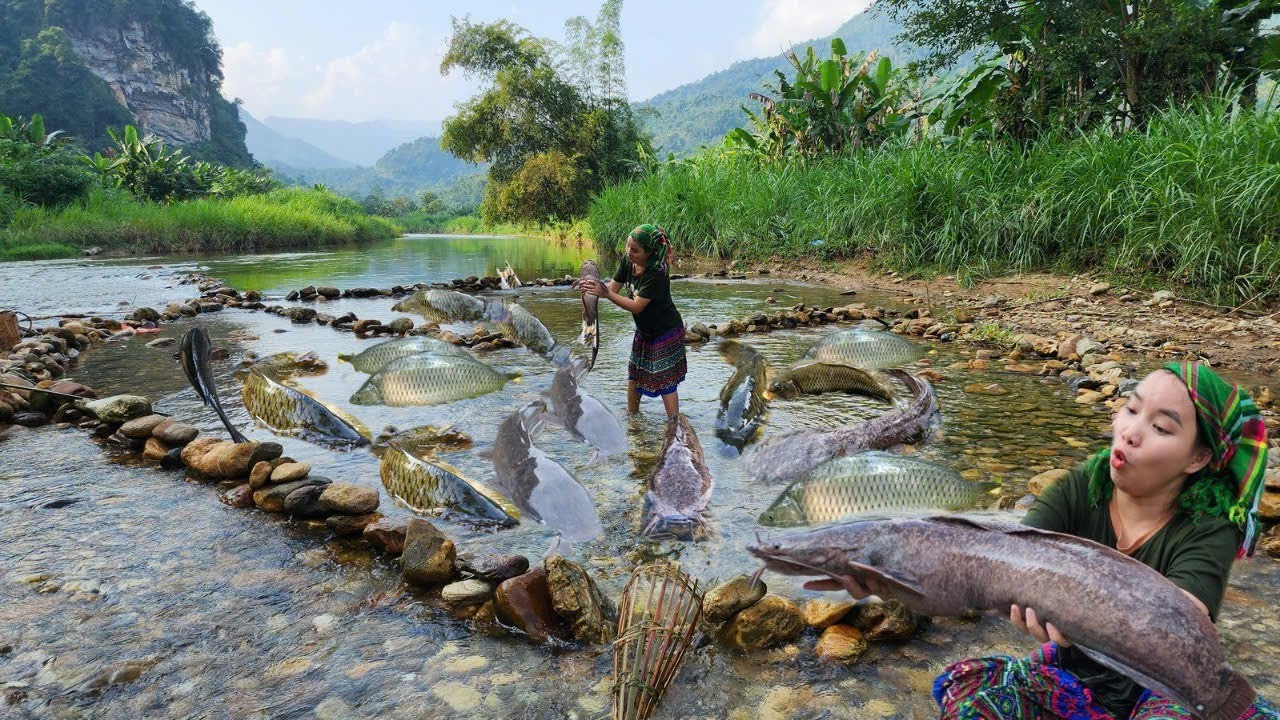 The girl arranged rocks into a giant trap and caught many big fish ...