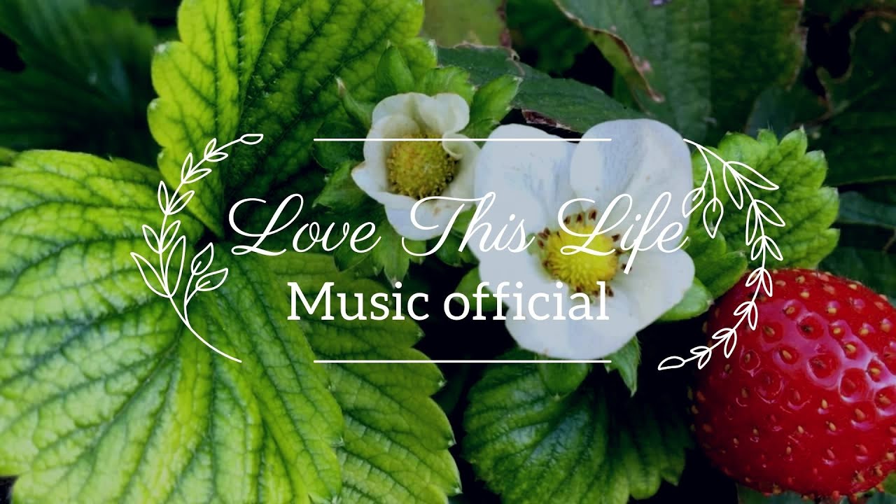 Love This Life - Relaxing Music Official - YouTube