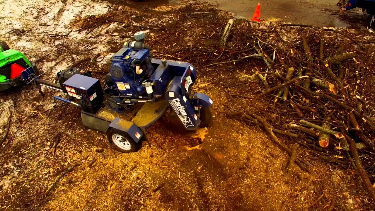 Travis Tree Stump Grinding / Hustle Holidays - YouTube