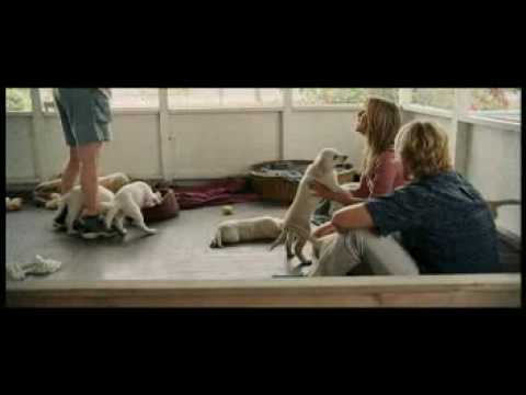 Marley und Ich (Behound the scenes)