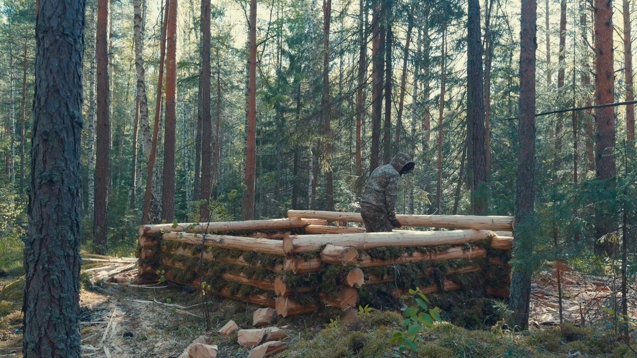2 DAYS OF BUILDING A LOG CABIN SURROUNDED BY WILD ANIMALS AND THOUSANDS ...