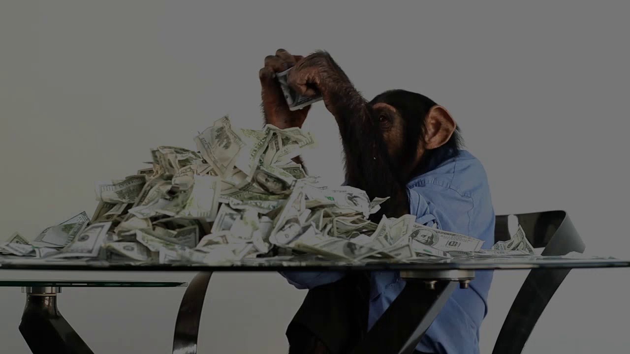 Monkey Draft - YouTube