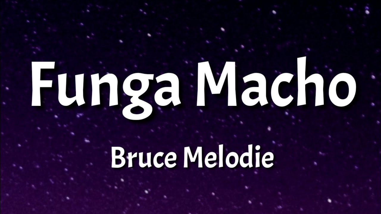 Bruce Melodie - Funga Macho (Lyrics) - YouTube