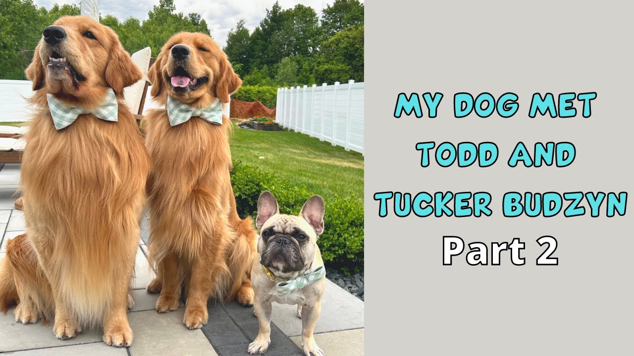 My Dog Met @TuckerBudzyn And His Son, Todd | Part 2!! - YouTube