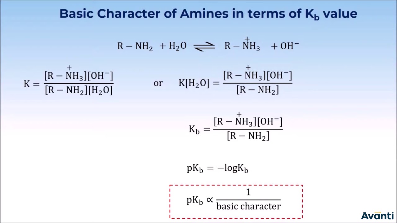 2. 12C13.2 CV 2 Basic character of Amines Part 1 - YouTube