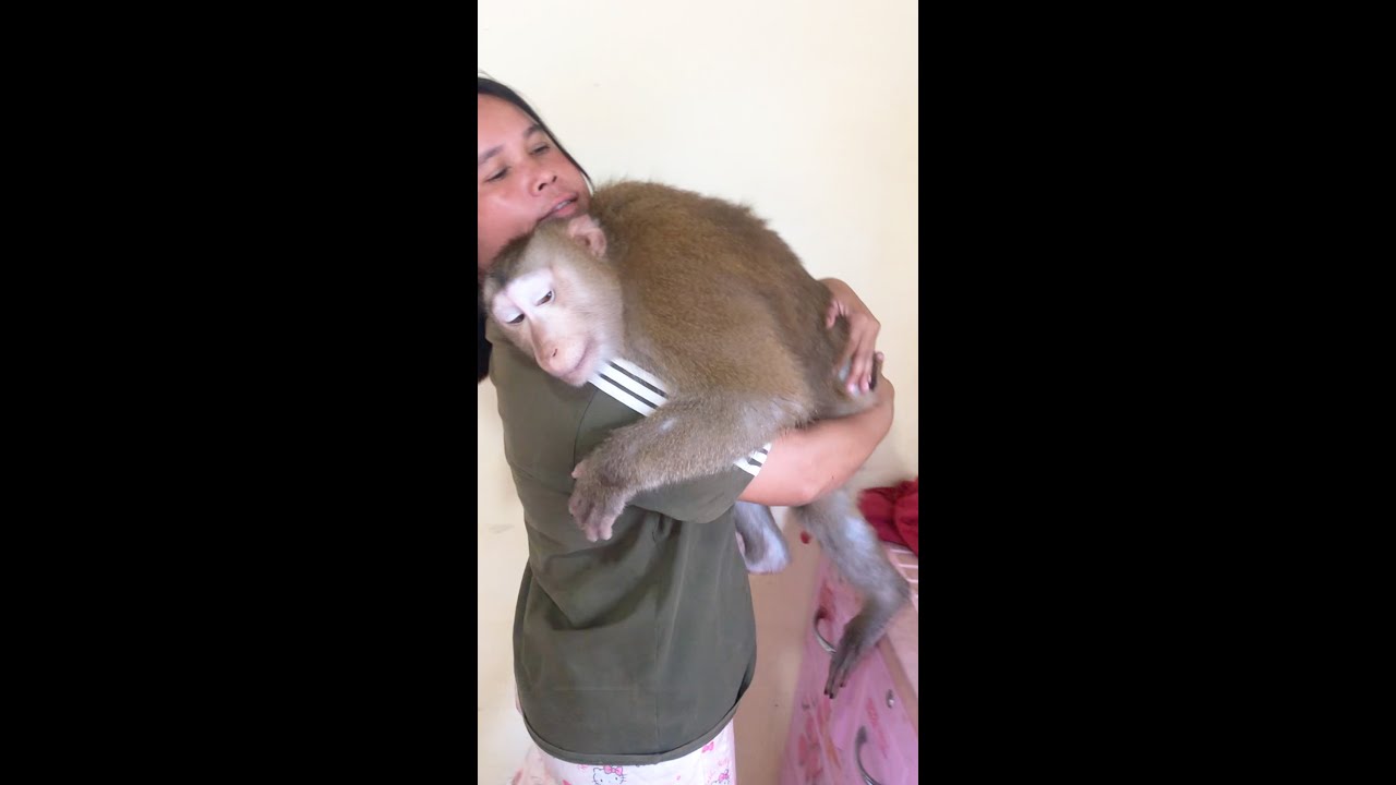 Smart Jason Delay Wipe Fur After Take Afternoon Bath Hug Mom Tight ...