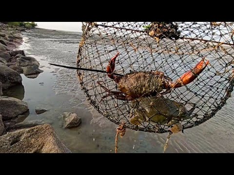 #EP1258 Gasak Tangkoi Ketam | Catch and Sell - YouTube