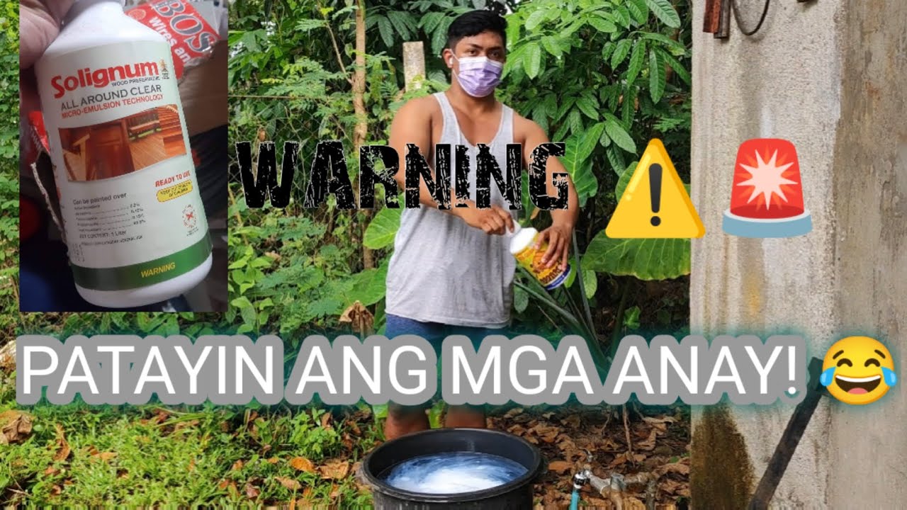 PAANO MAWALA ANG MGA ANAY! SOLIGNUM LANG SAPAT NA! MABISA NA PANG PUKSA ...