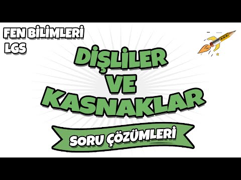 LGS 2022 Fen Bilimleri - Dişliler ve Kasnaklar LGS Soru Çözümleri