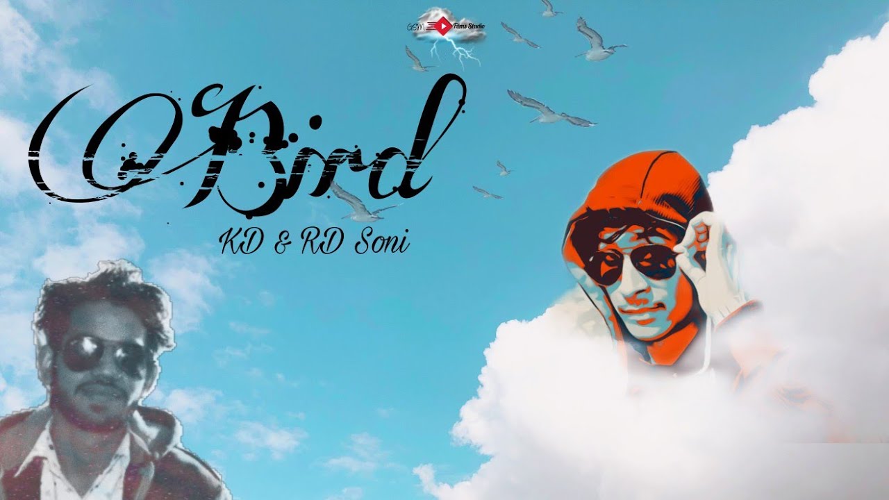 KD & RD Soni - Bird ( Official Music Video) - YouTube