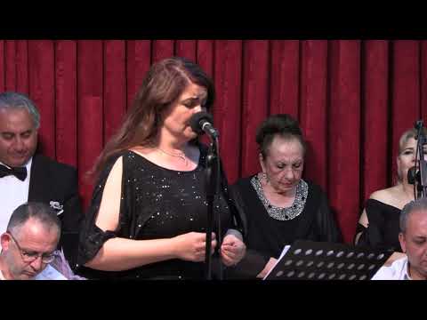 Cemile Sibel Kartal - Ne Olur Akşamları