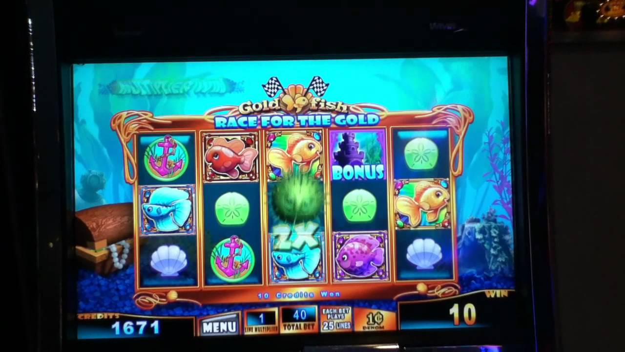 GOLDFISH RACE FOR THE GOLD Penny Video Slot Machine with PUFFERFISH ...