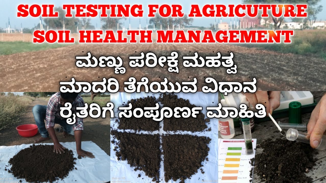 Soil testing for agriculture || soil Health Management || ಮಣ್ಣು ಪರೀಕ್ಷೆ ...