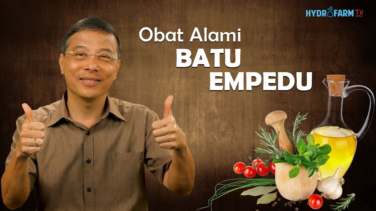Obat Alami BATU EMPEDU !! - YouTube