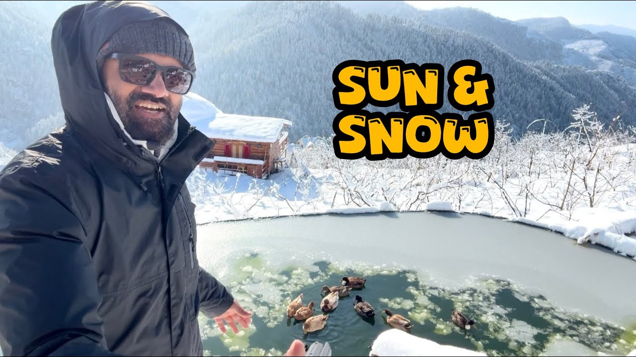 A Sunny Snowy Morning | The Farm in Warm Winter Light - YouTube