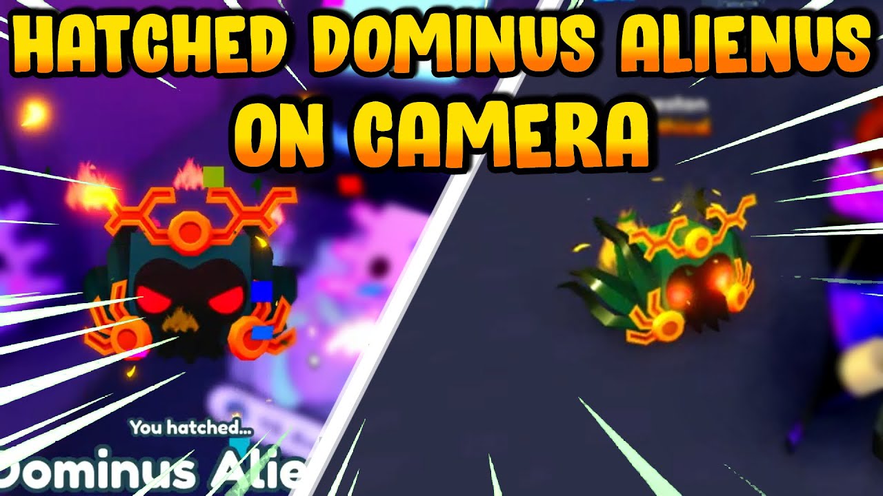 Dominus Alienus Hatched On Camera! - YouTube