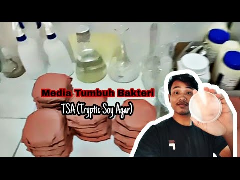 Pembuatan Media Agar Bakteri TSA di Laboratorium Tambak Udang - YouTube
