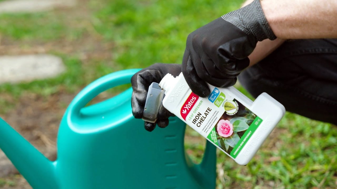 The Garden Gurus - What to do with your Garden #11 - YouTube