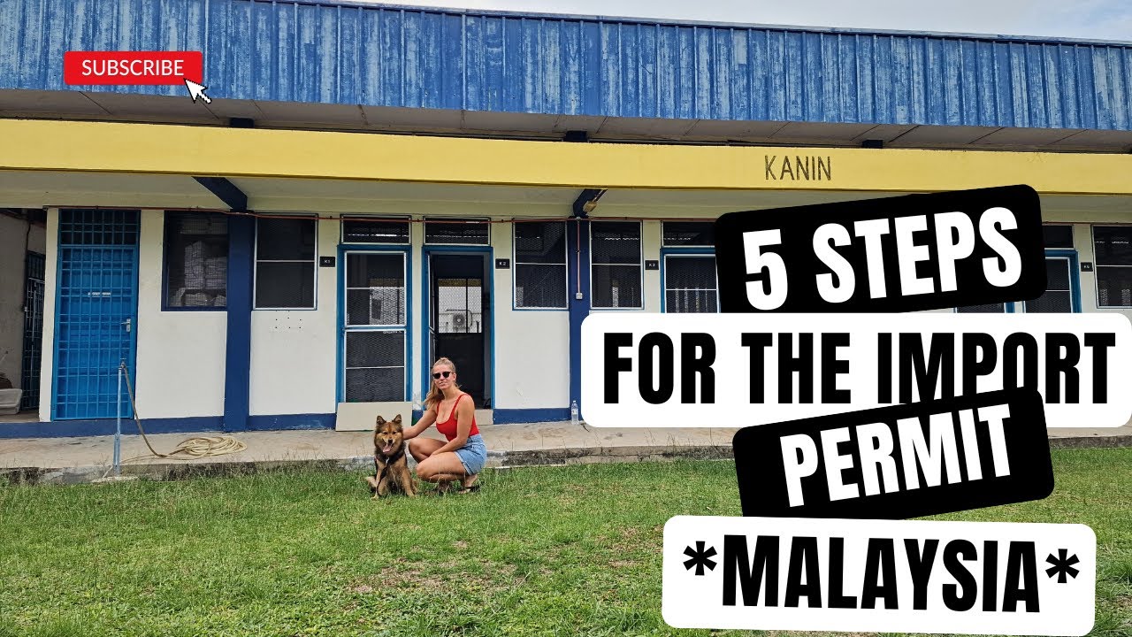 Import Pet To Malaysia (A Complete Guide in 5 easy steps for your Dog ...