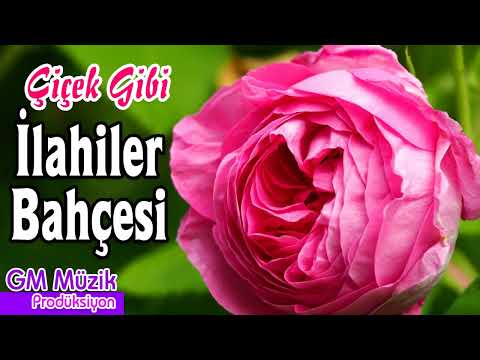 Çiçek Gibi İlahiler Bahçesi 💖 En Güzel İlahiler 💖 Karışık İlahiler #ilahi #ilahiler #keşfet