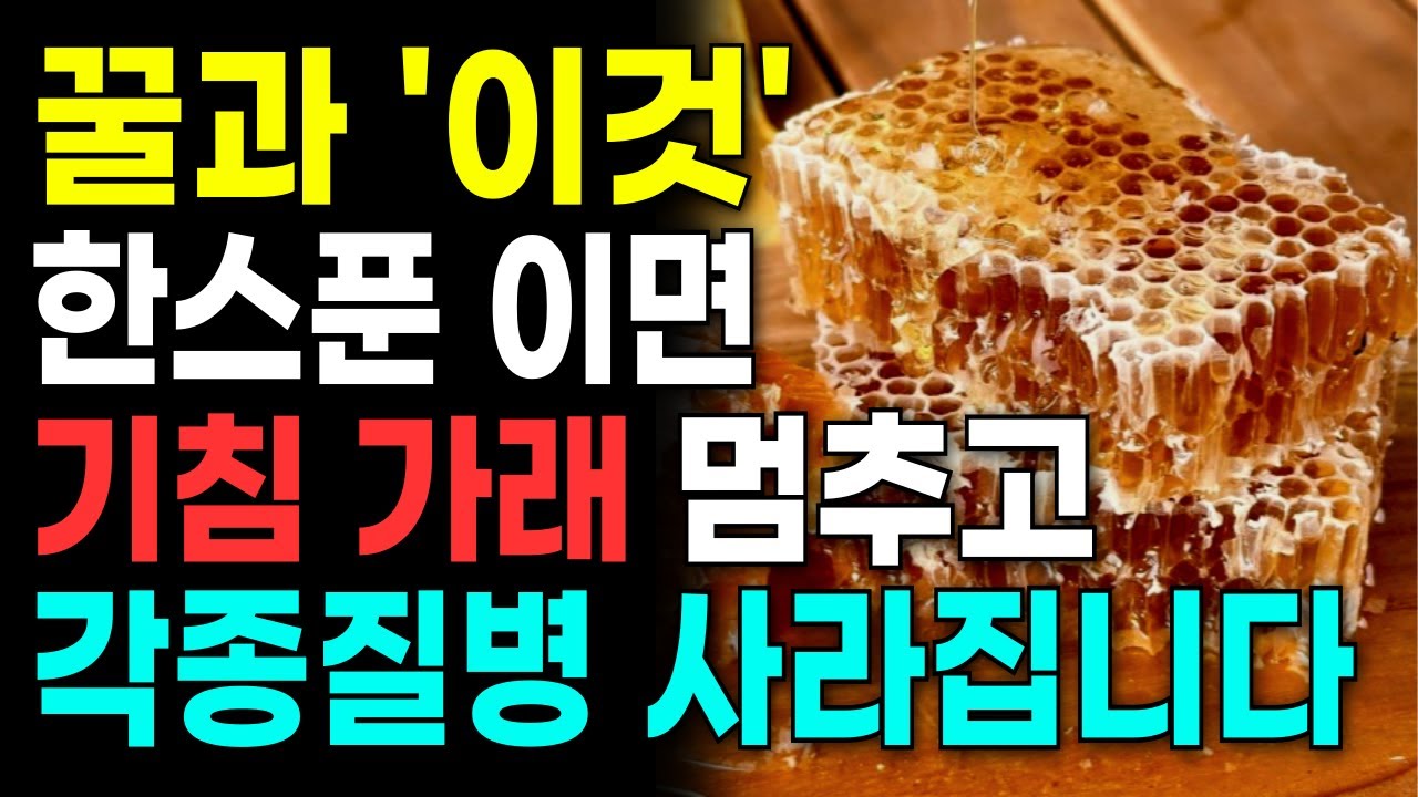 값비싼 영양제 대신 이것 드세요 기침 가래 염증 각종 질병 싹 사라집니다 꿀과 함께 먹으면 보약보다 좋은 음식 4