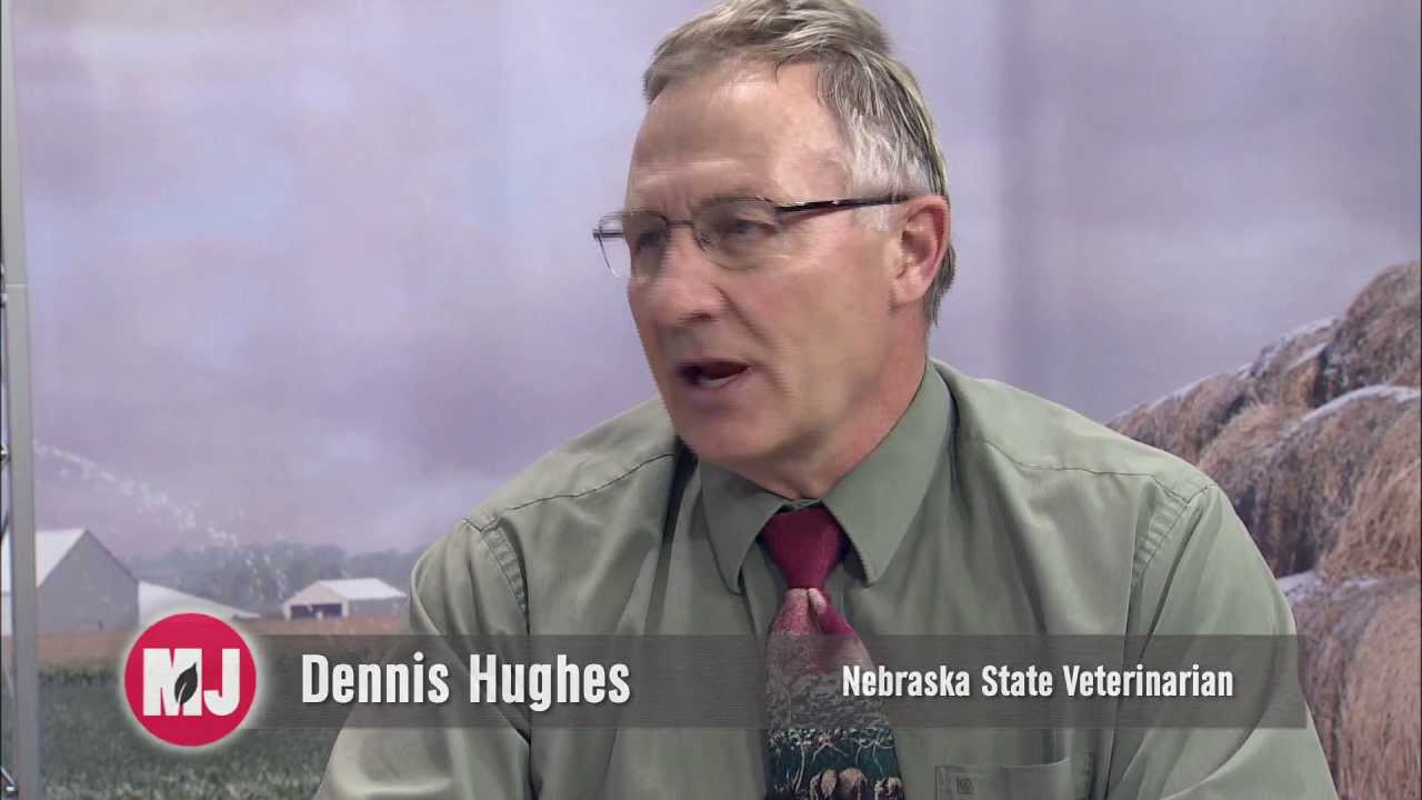 Dennis Hughes - Market Journal - May 24, 2013 - YouTube