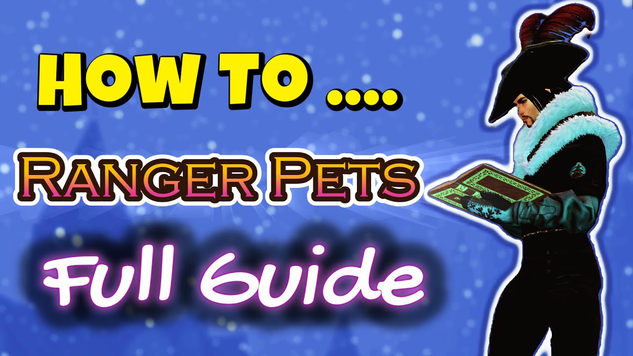 "How To Use Ranger Pets" The Complete Guide - YouTube