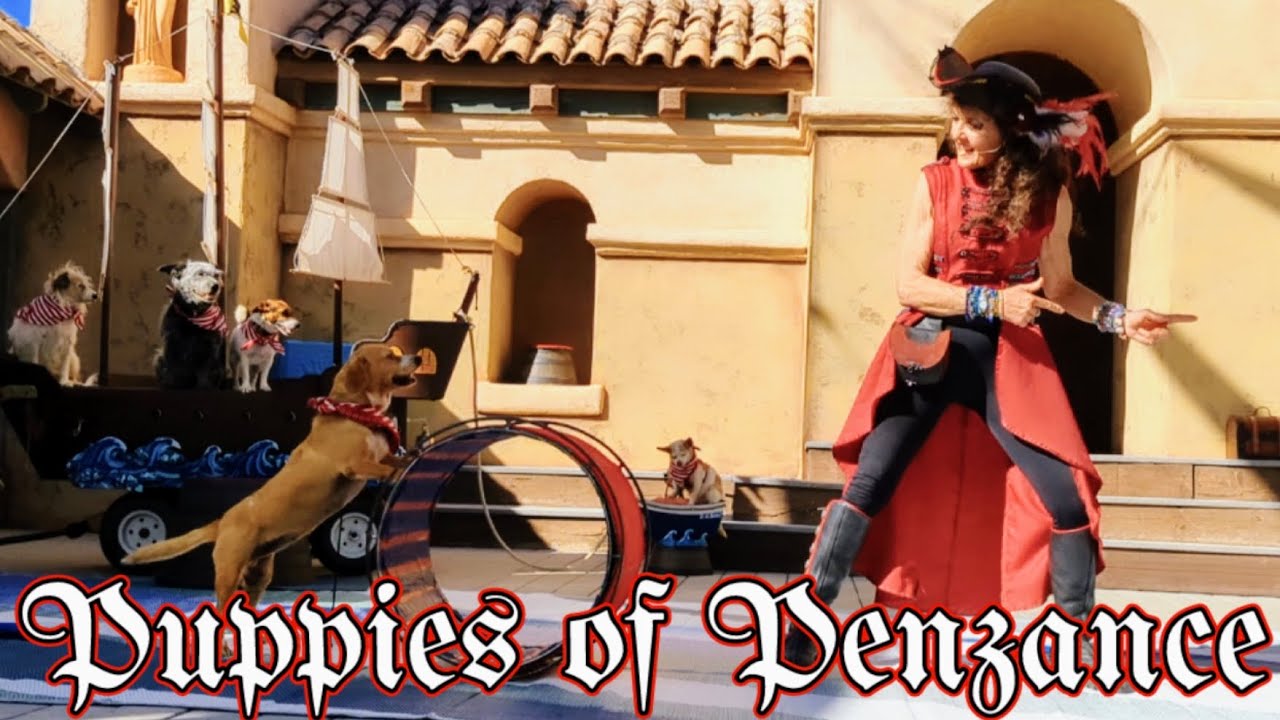 Puppies Of Penzance - Pirate Puppy Show | Full Show - YouTube