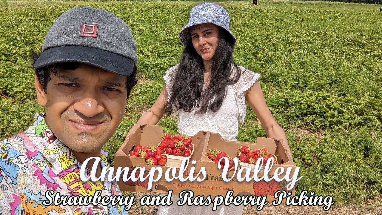 Annapolis valley | Raspberry and Strawberry picking | Roadtrip from ...