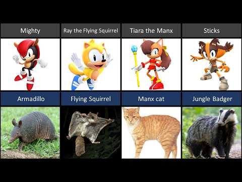 Real Animals That Inspired Sonic the Hedgehog Characters