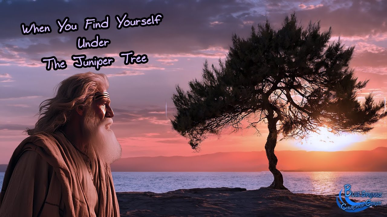When You Find Yourself Under the Juniper Tree - YouTube