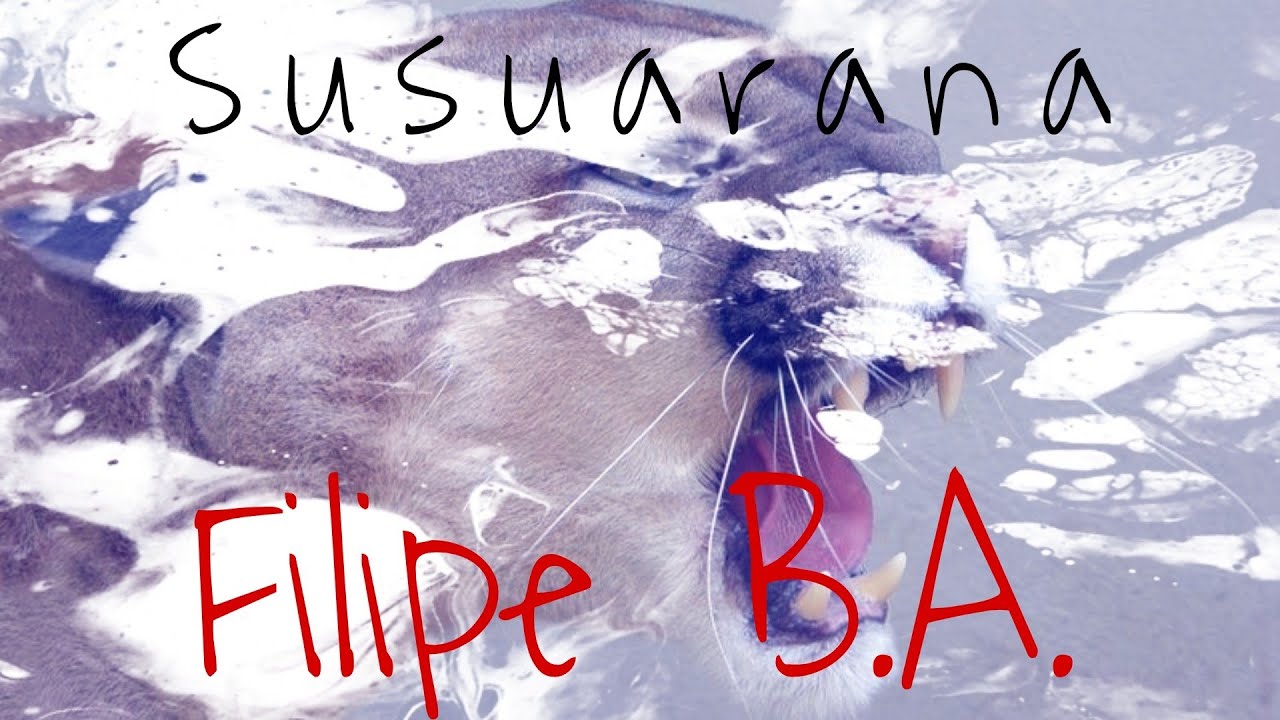 Sussuarana (vídeo oficial) - YouTube