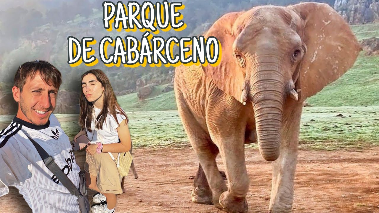 ASÍ es el PARQUE NATURAL de CABÁRCENO | RECORRIDO COMPLETO 🇪🇸 ANIMALES ...