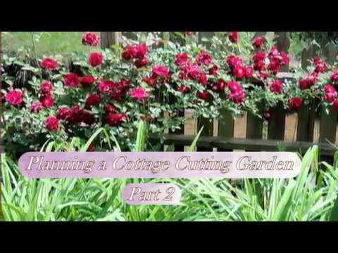 Part 2 Planting a Cottage Cutting Garden in April - YouTube