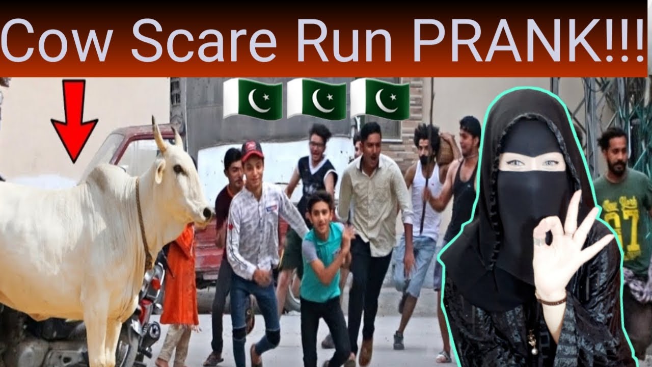 Qurbani Cow Scare Run Prank (Eid ul Adha 2020) - LahoriFied || Rodela ...