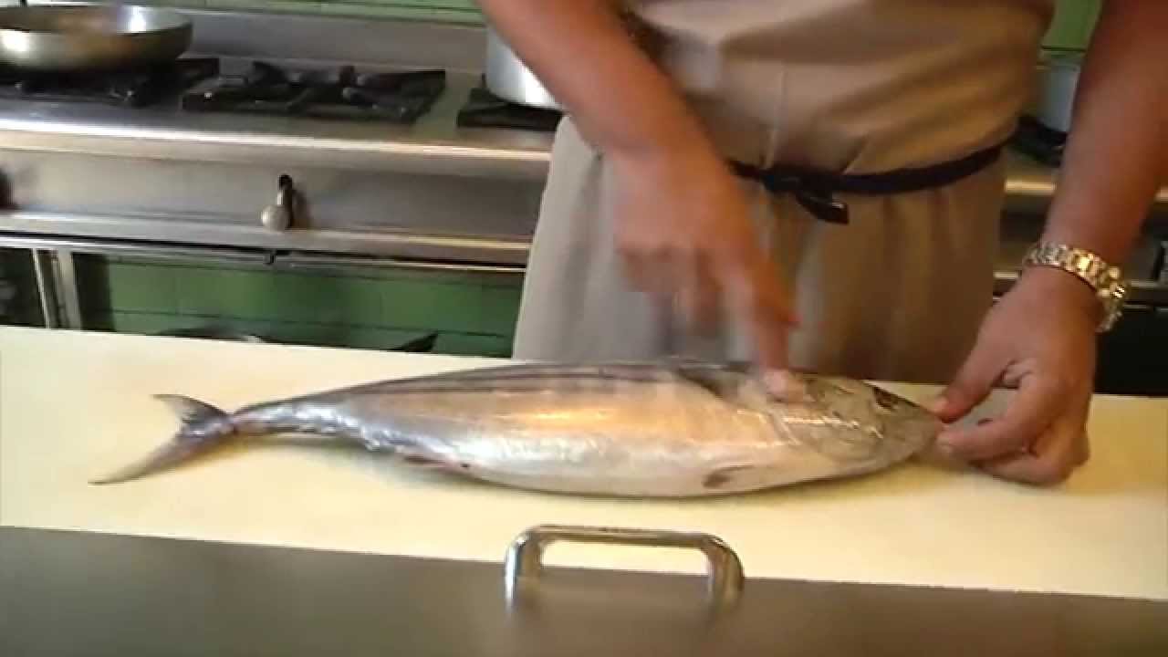 Reconozca un pescado fresco: Bonito - YouTube