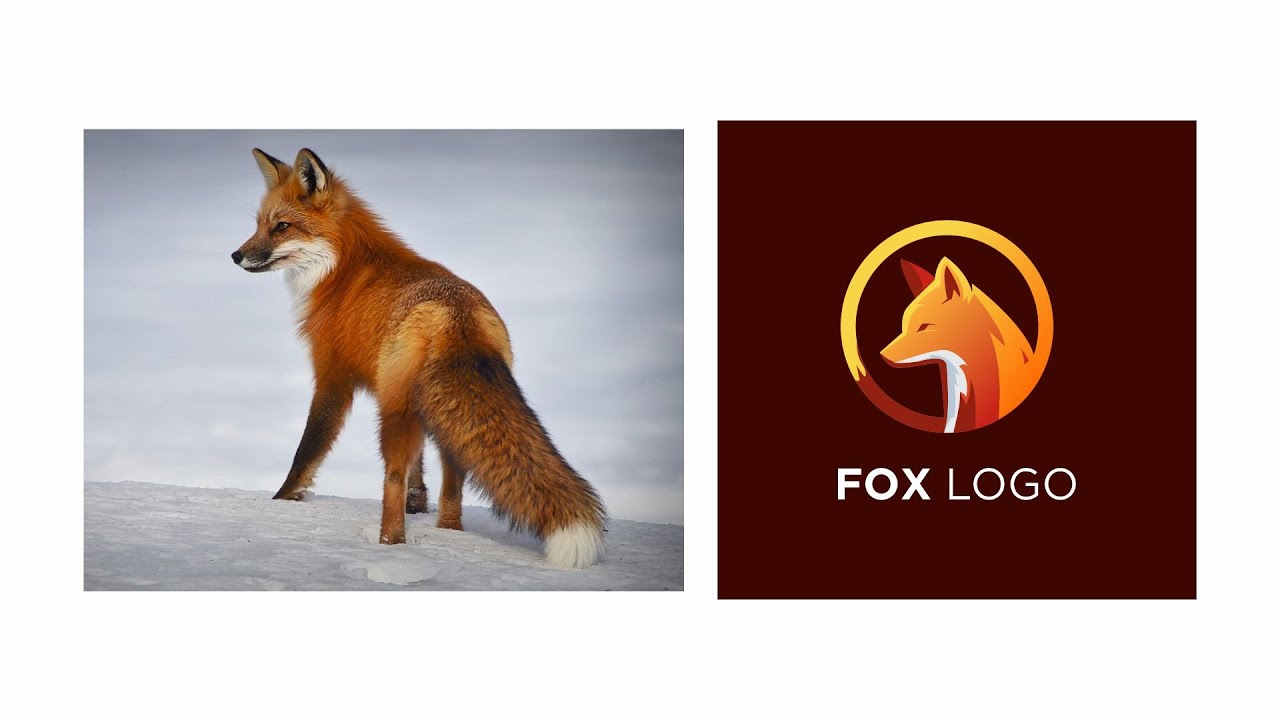 How to create fox logo in Coreldraw | Coreldraw tutorial - YouTube