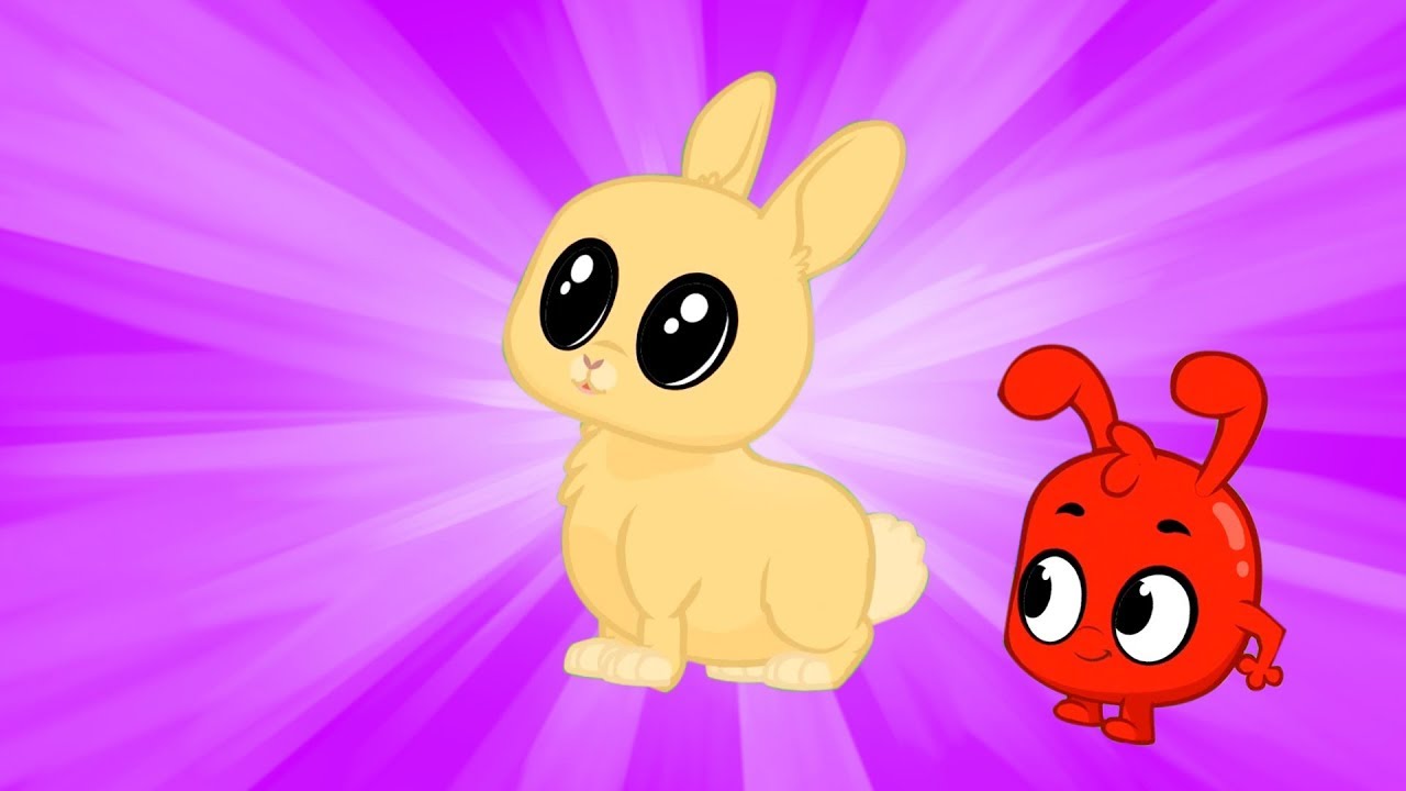 Morphle & The Puffer Bunny | NEW | My Magic Pet Morphle | Kids Cartoons ...