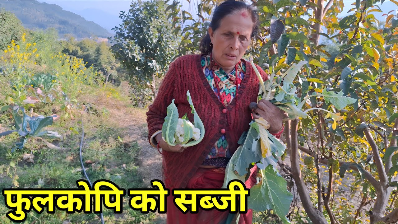 Gaughar Ma Hamro Dainiki || गाउँघर मा रमाइलो मौसम || Nice Day In ...