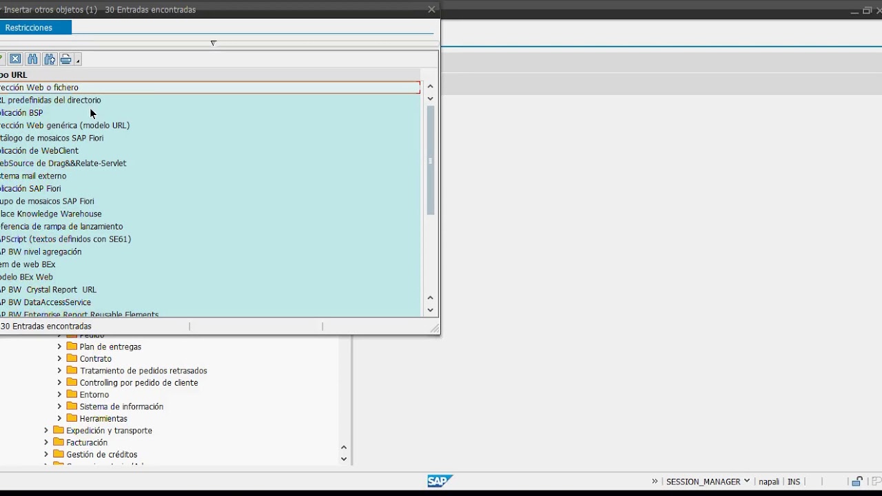 Pasos Iniciales con SAP - 03 - Introducción a SAP Easy Access - Parte ...
