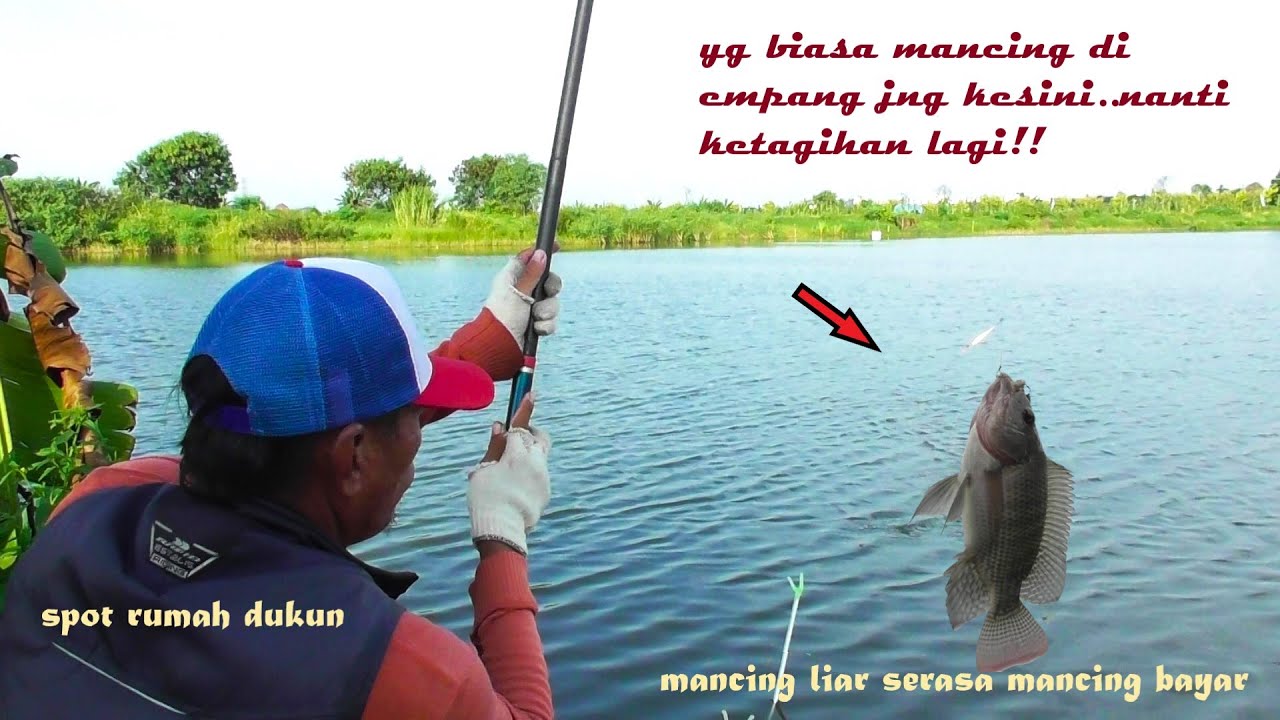 YG BIASA MANCING DI EMPANG JNG KESINI NANTI KETAGIHAN!!! MANCING LIARAN ...